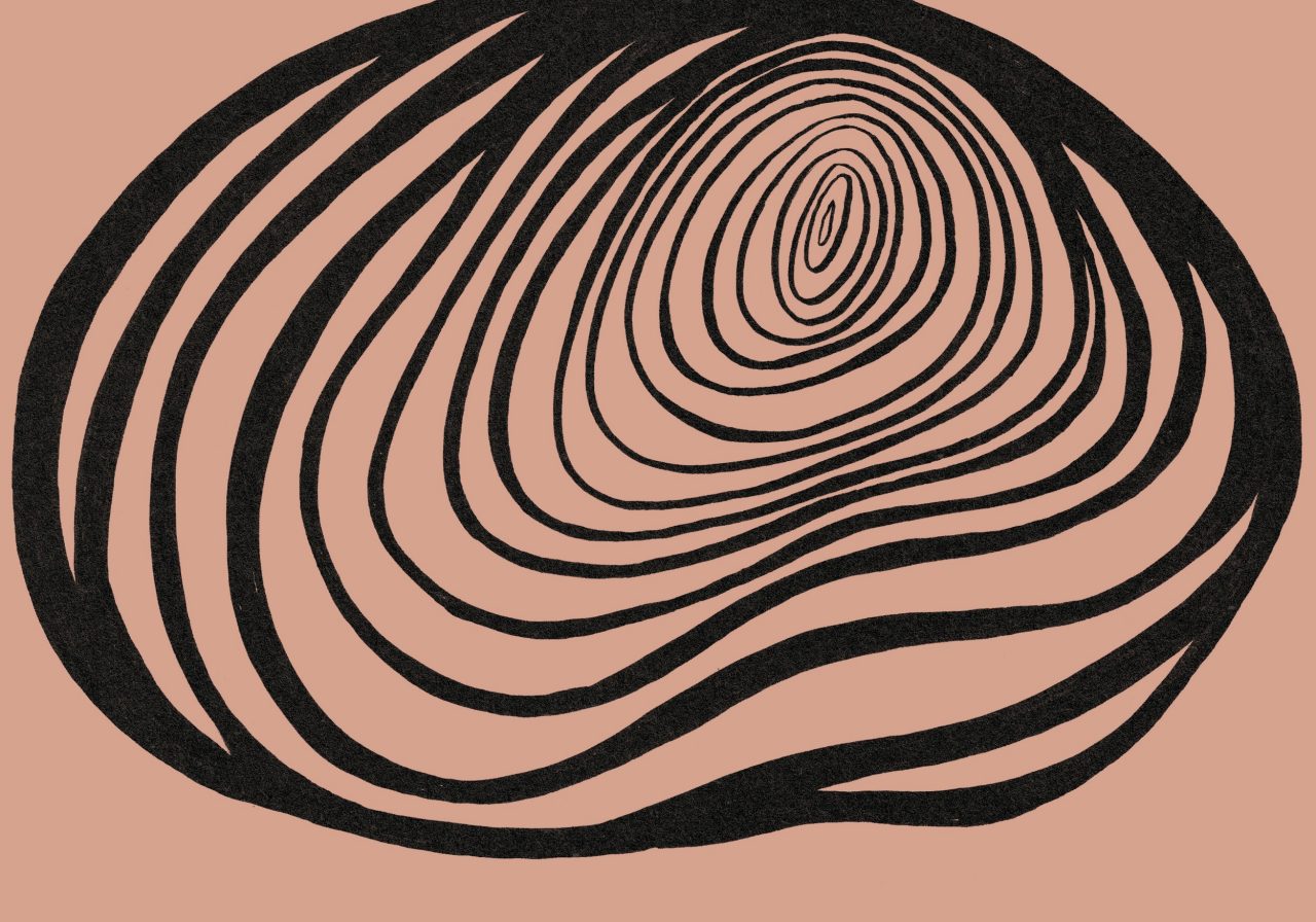 Atomic Tree – Emergence Magazine