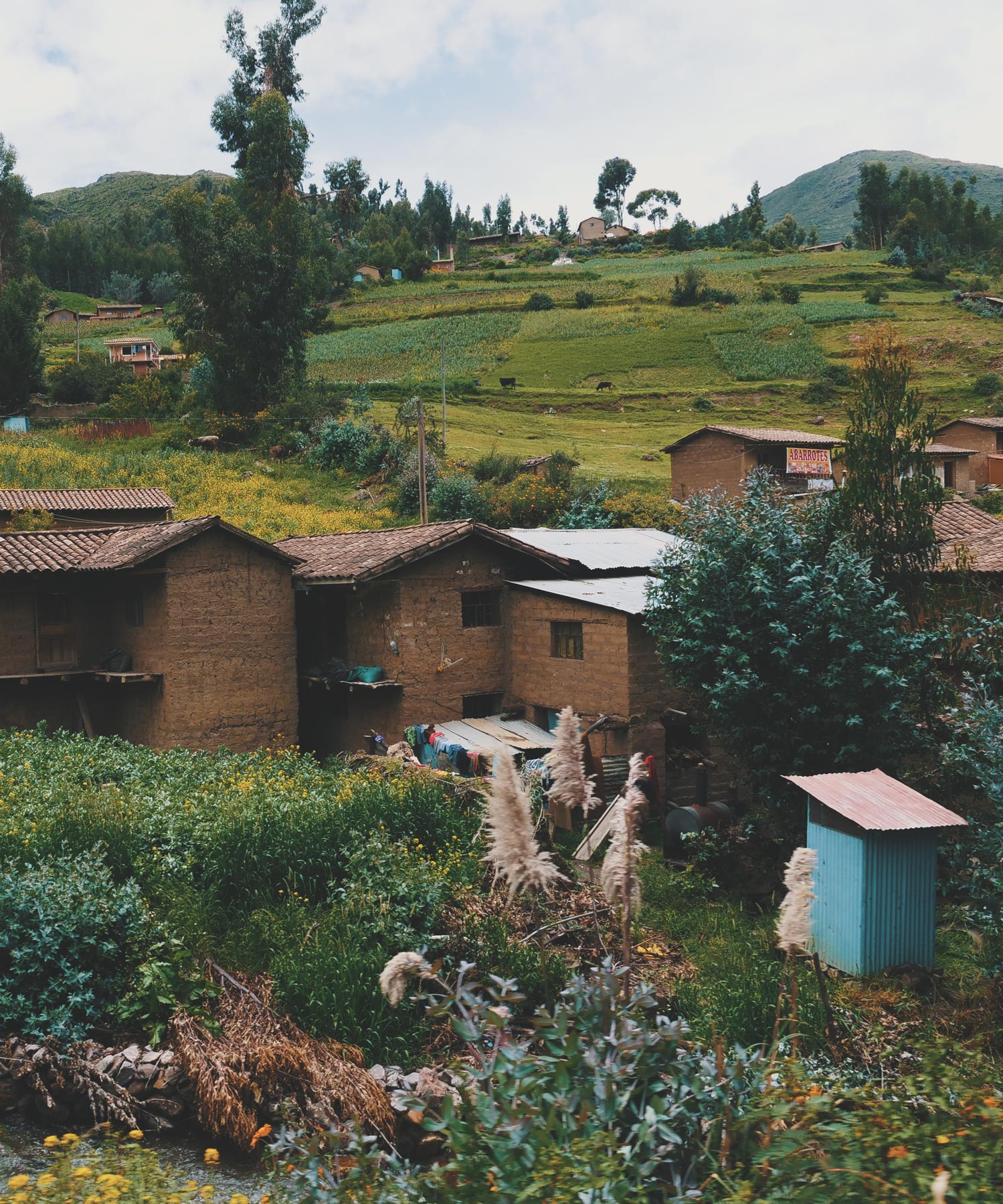 Papas Nativas – Emergence Magazine