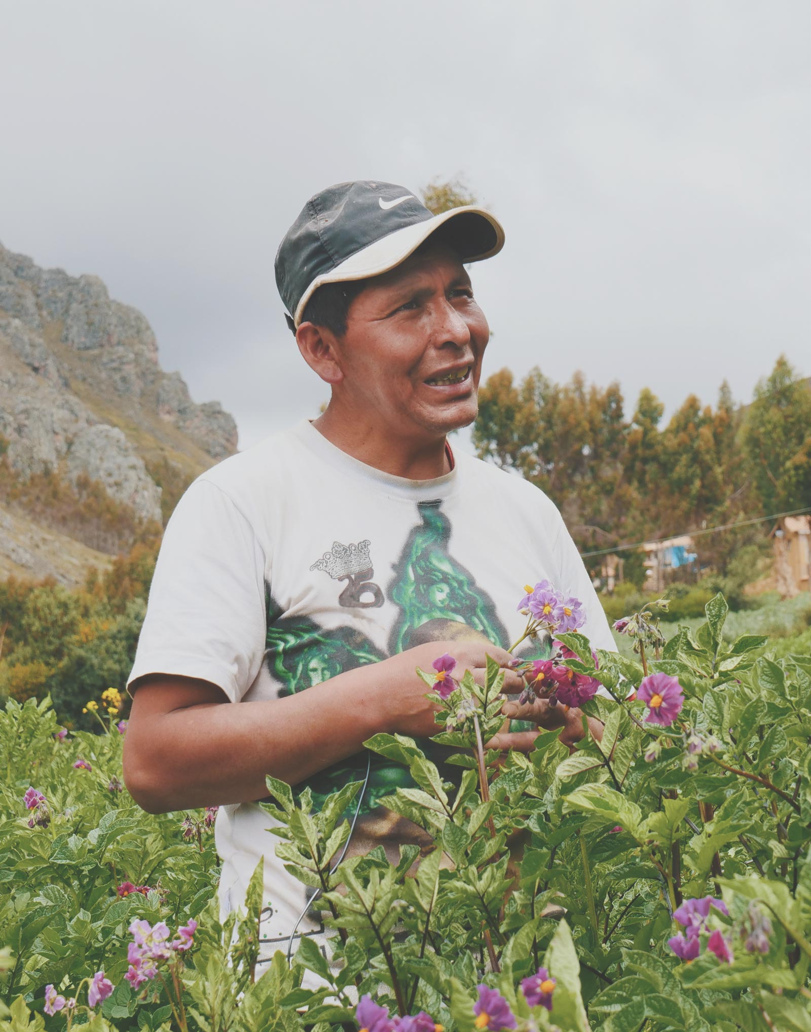 Papas Nativas – Emergence Magazine