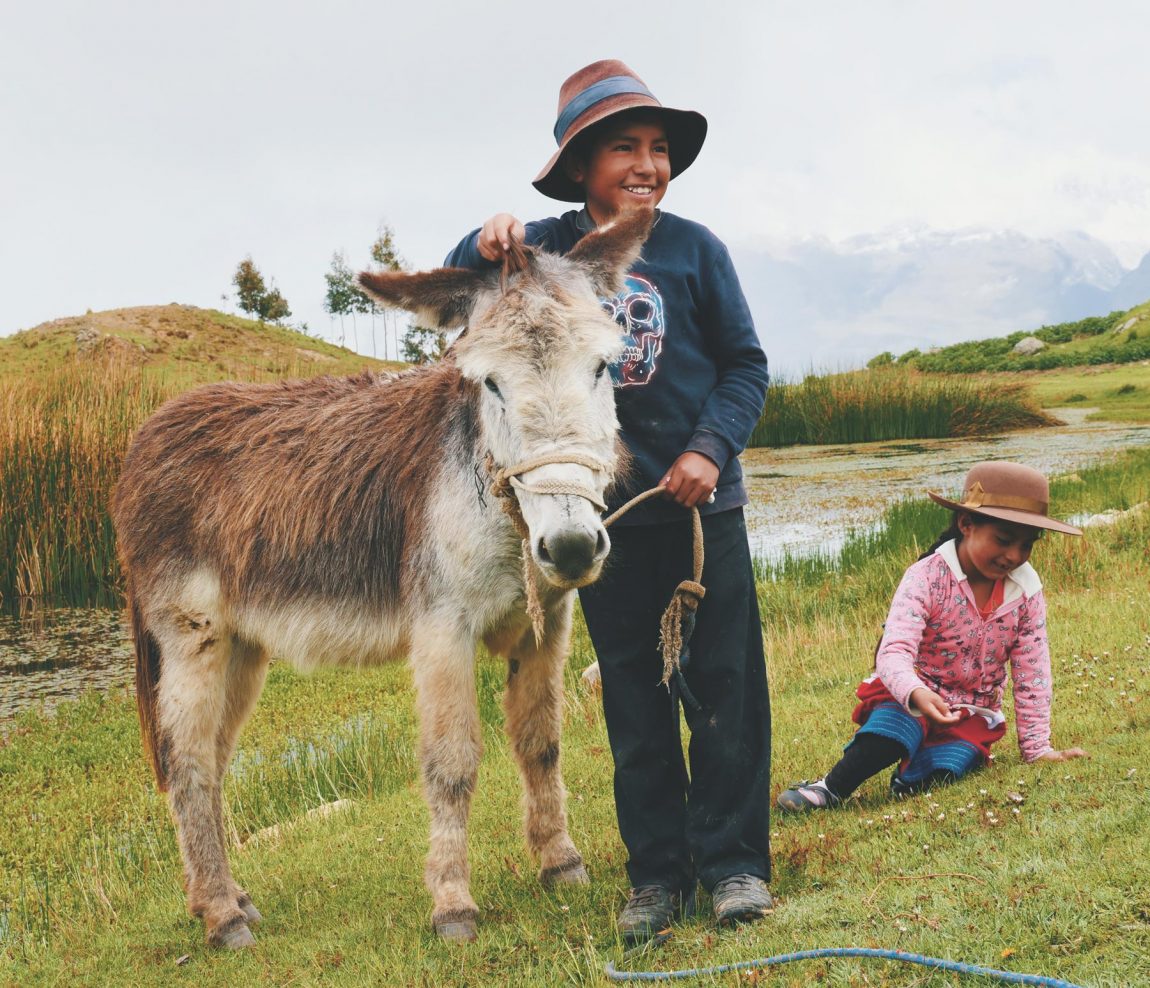 Papas Nativas – Emergence Magazine