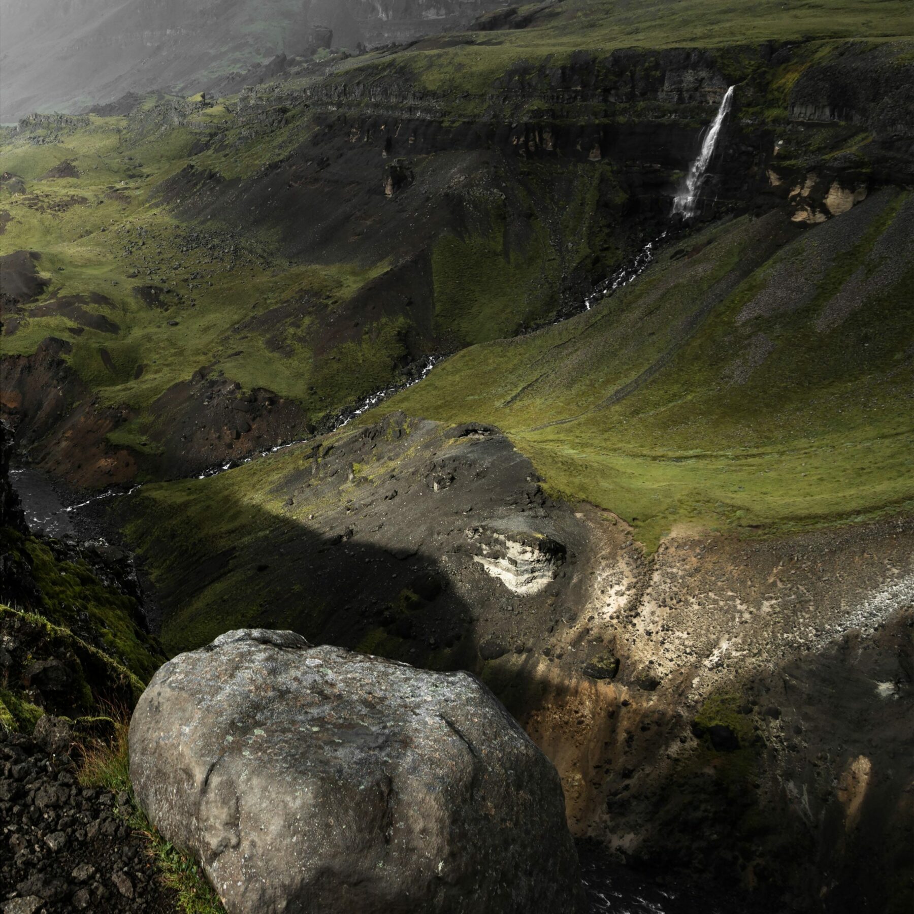 Silent Landscapes – Emergence Magazine