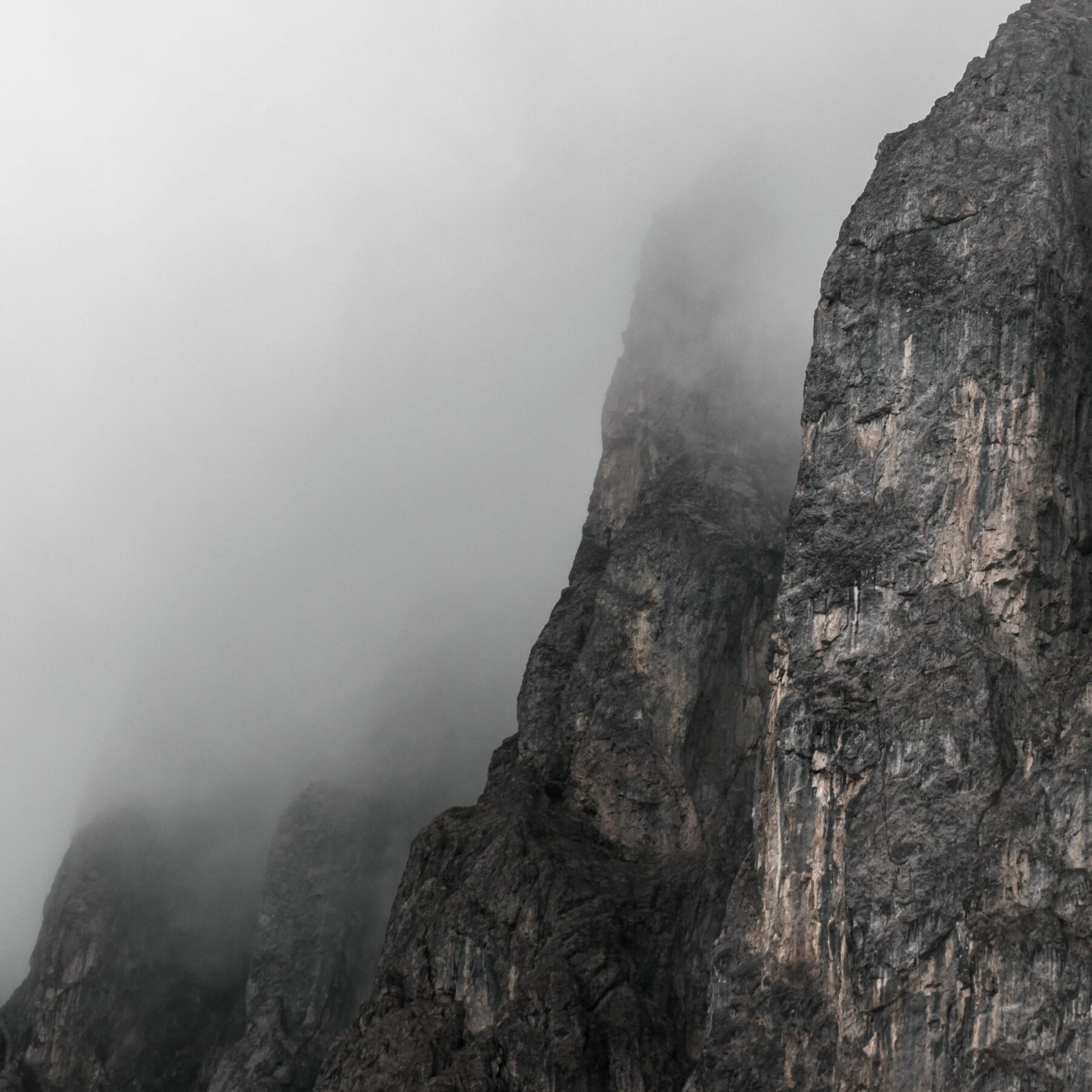 Silent Landscapes – Emergence Magazine