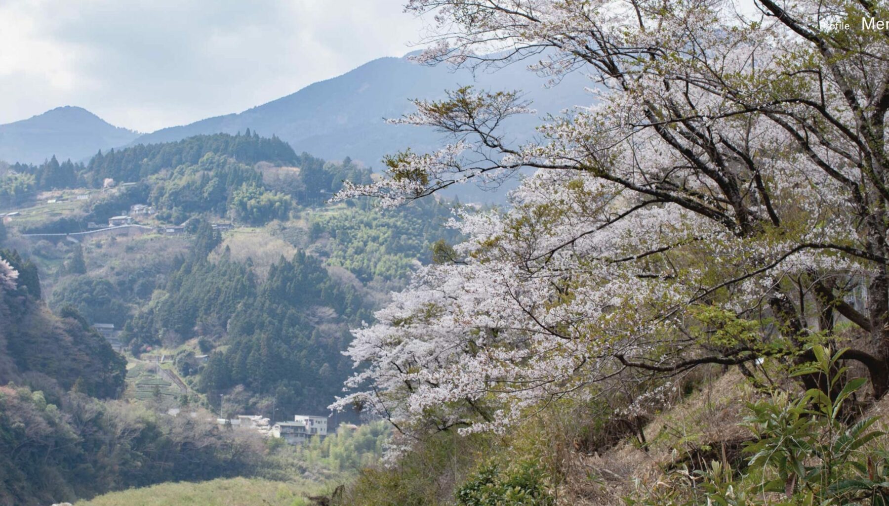 Arriving with Every Step – A Practice by Chelsea Steinauer-Scudder