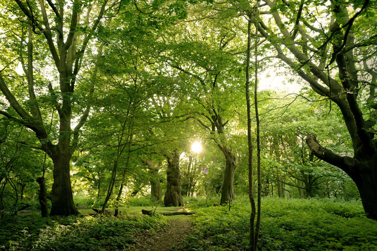 Bodies of Evidence – Kimberly Ruffin