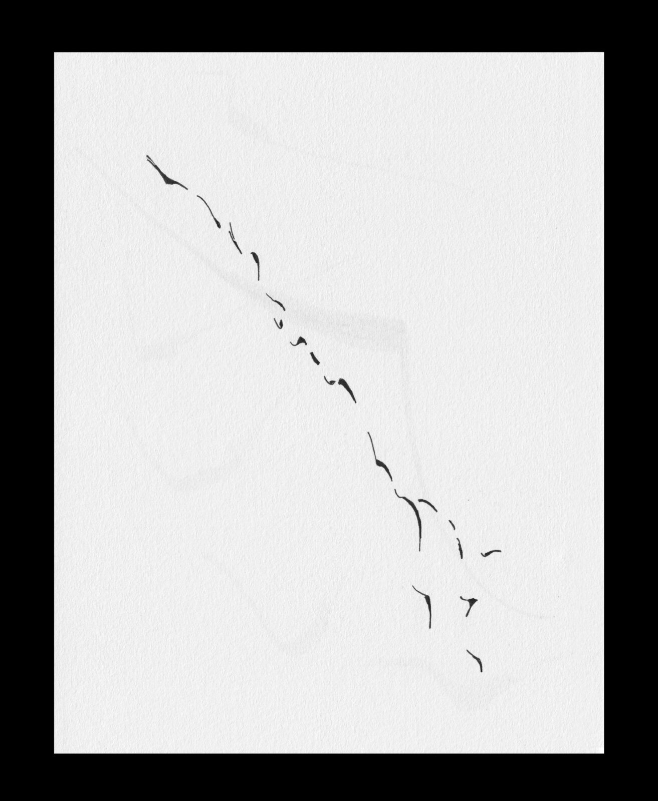 Stone Alphabet – Emergence Magazine