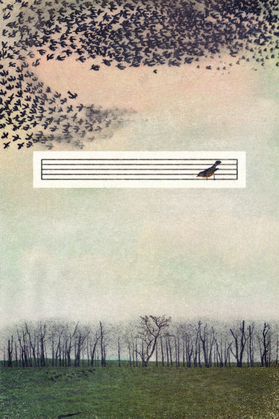 Listening to the Language of Birds – A Practice by David G. Haskell