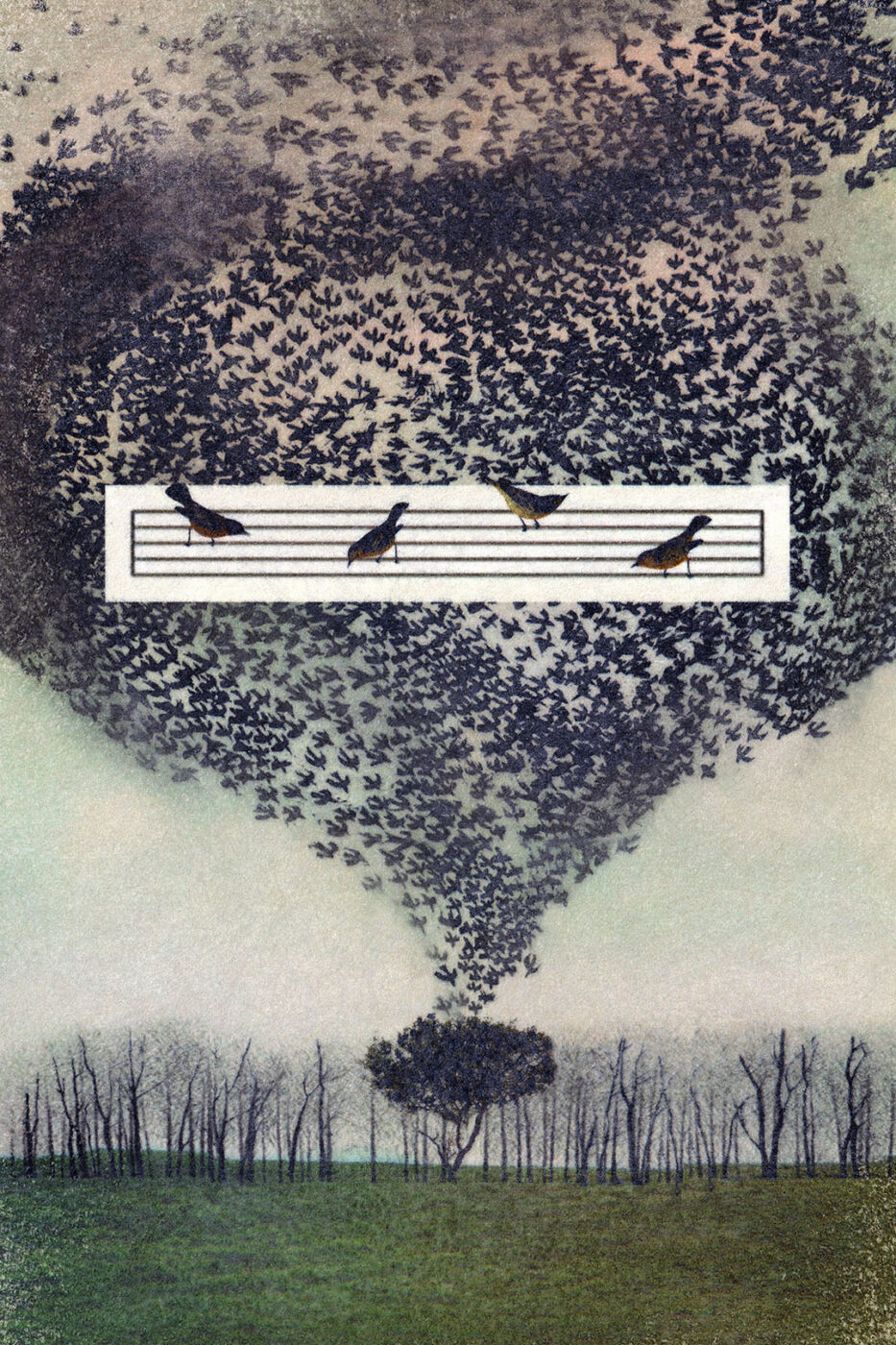 Listening to the Language of Birds – A Practice by David G. Haskell