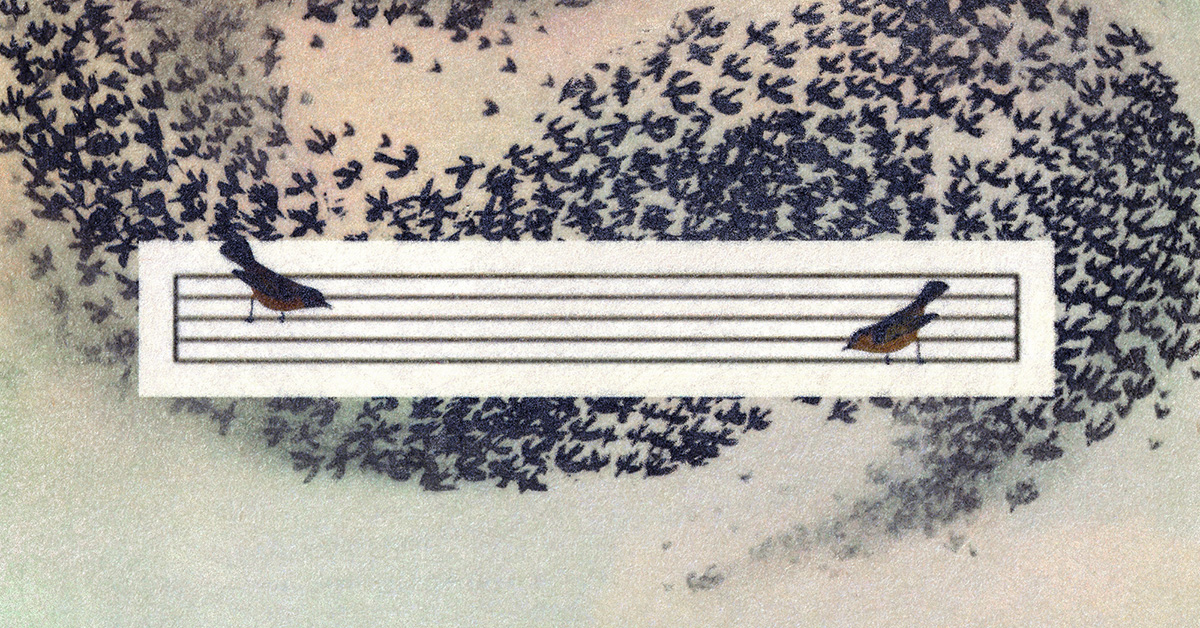 Listening to the Language of Birds – A Practice by David G. Haskell