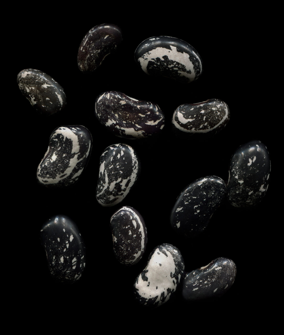 Three Sisters – Emergence Magazine