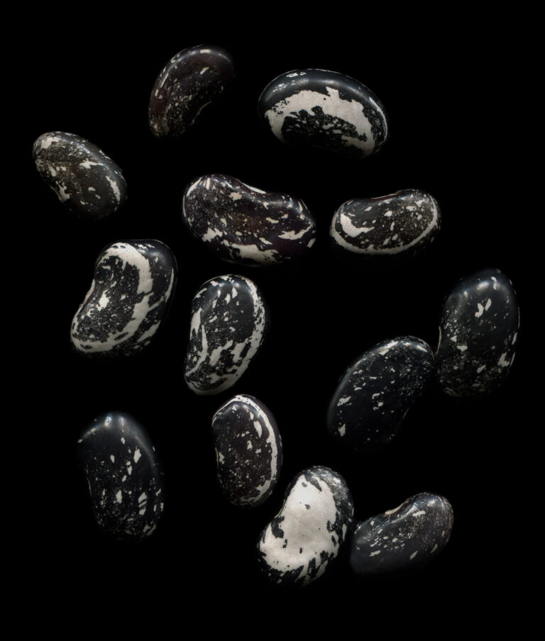 Three Sisters – Emergence Magazine