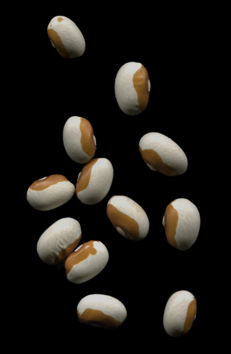 Three Sisters – Emergence Magazine