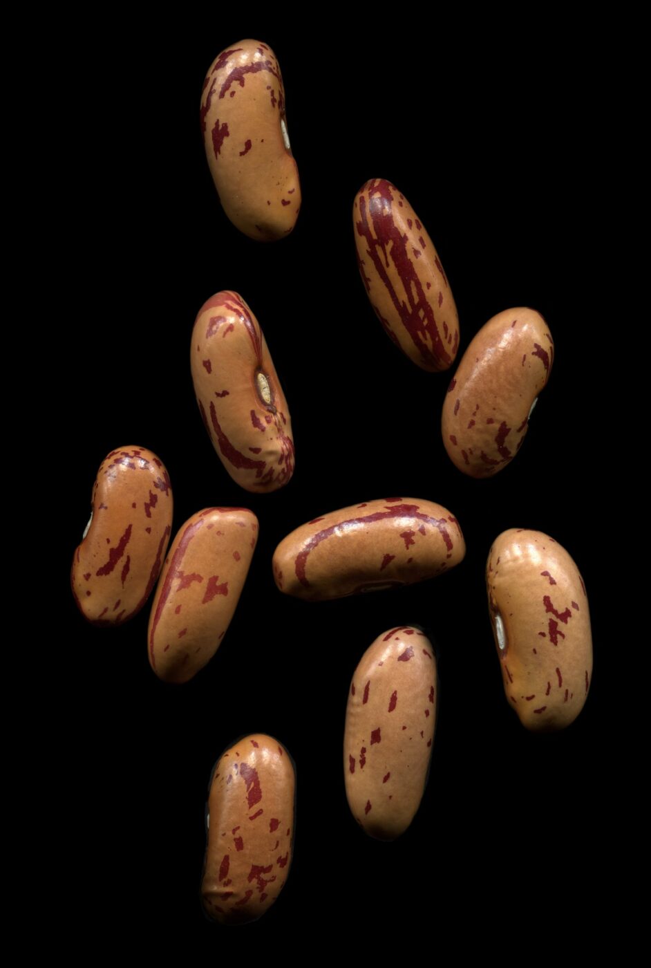 Three Sisters – Emergence Magazine