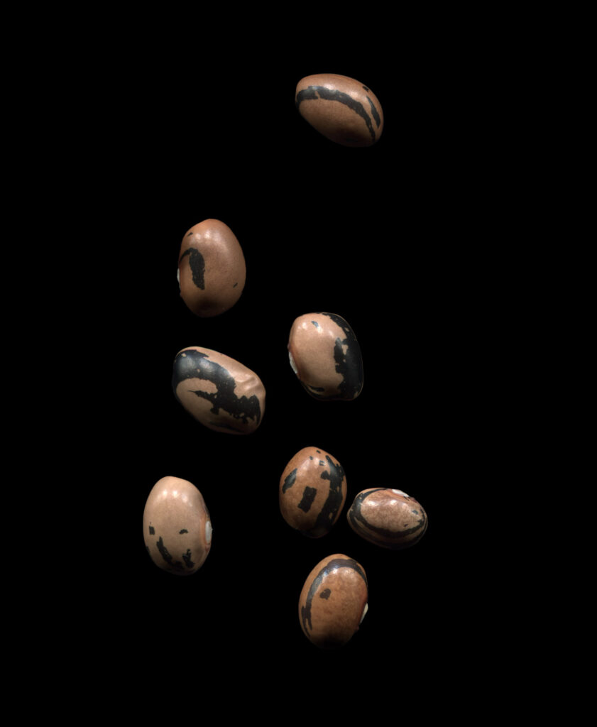 Three Sisters – Emergence Magazine