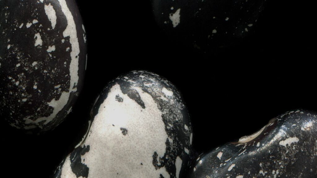 Three Sisters – Emergence Magazine