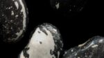 Three Sisters – Emergence Magazine
