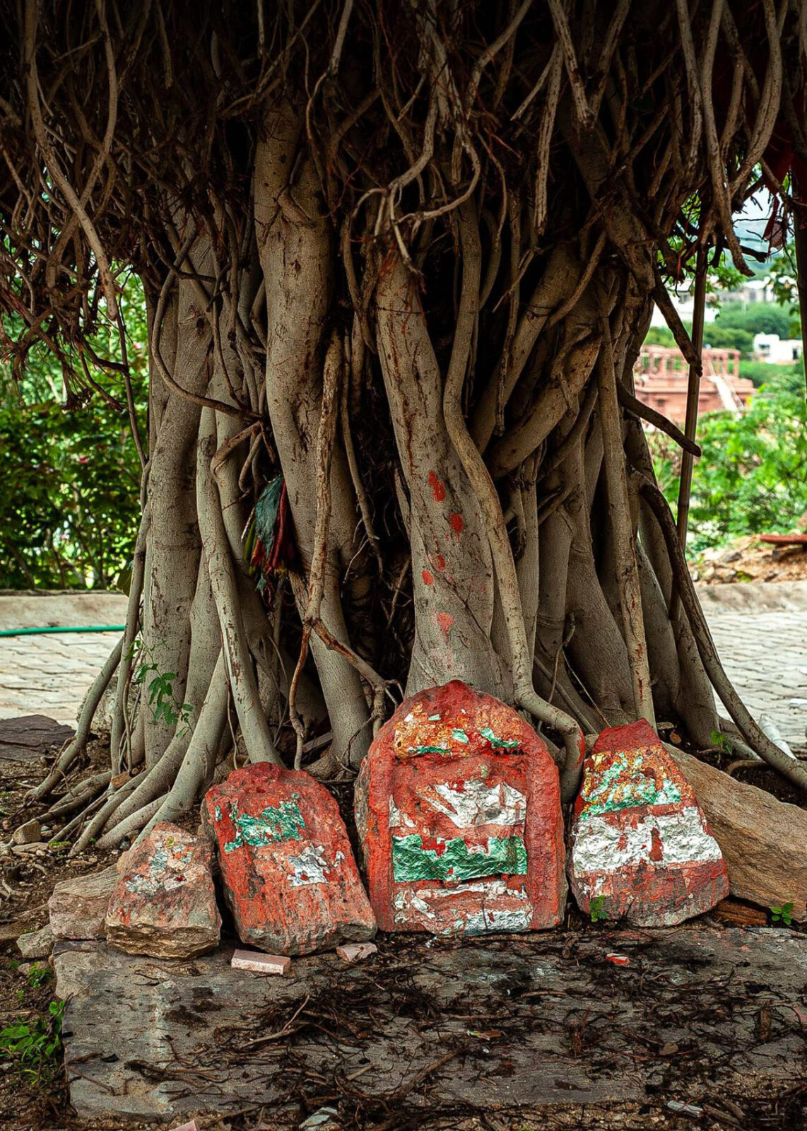 A Little More Than Kin — Richard Powers