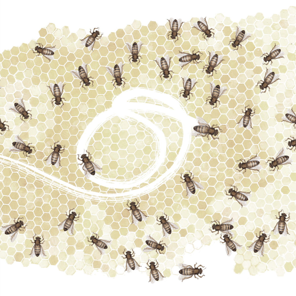 Dance of the Honey Bee – Ellen Litwiller and Chelsea Steinauer-Scudder