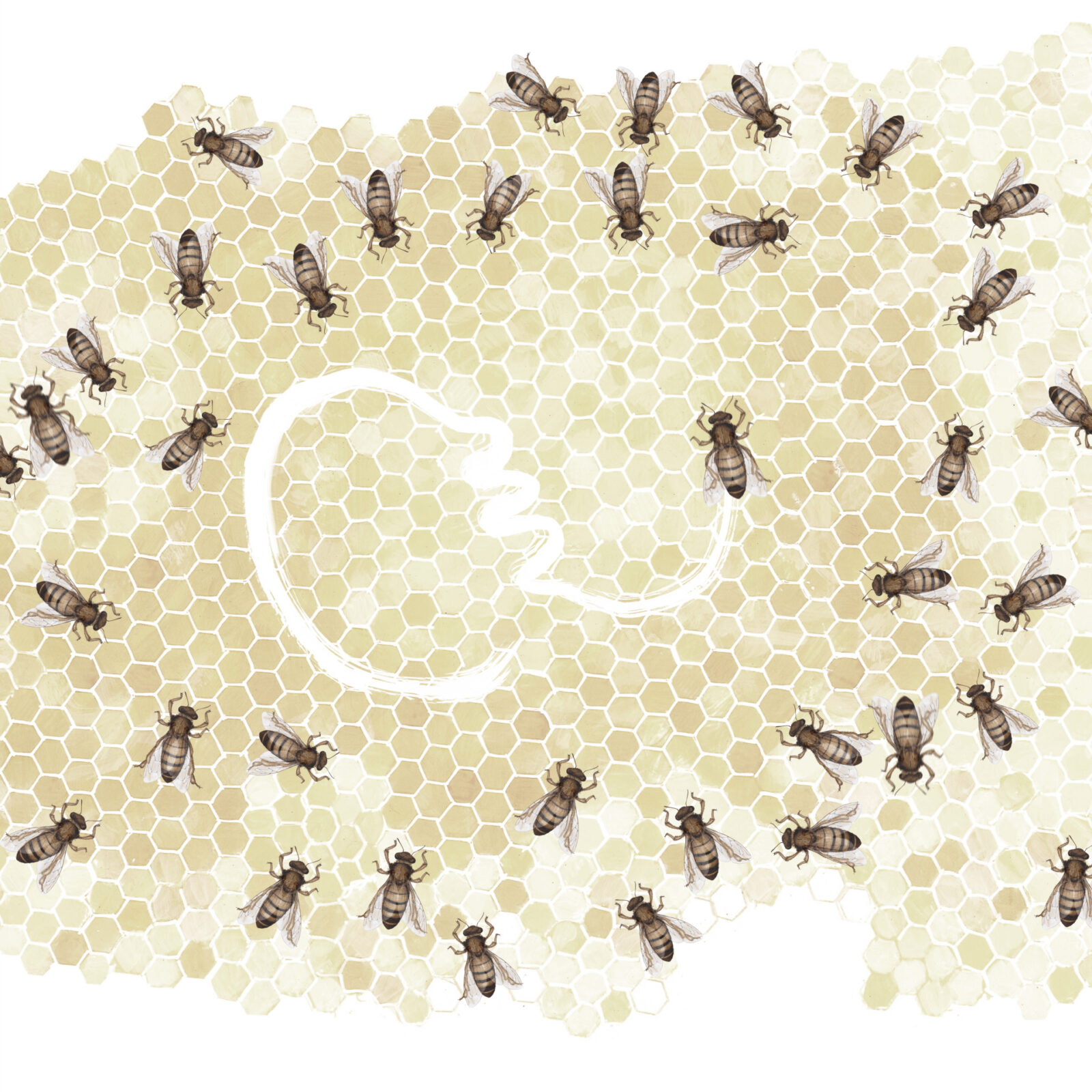 Dance of the Honey Bee – Ellen Litwiller and Chelsea Steinauer-Scudder