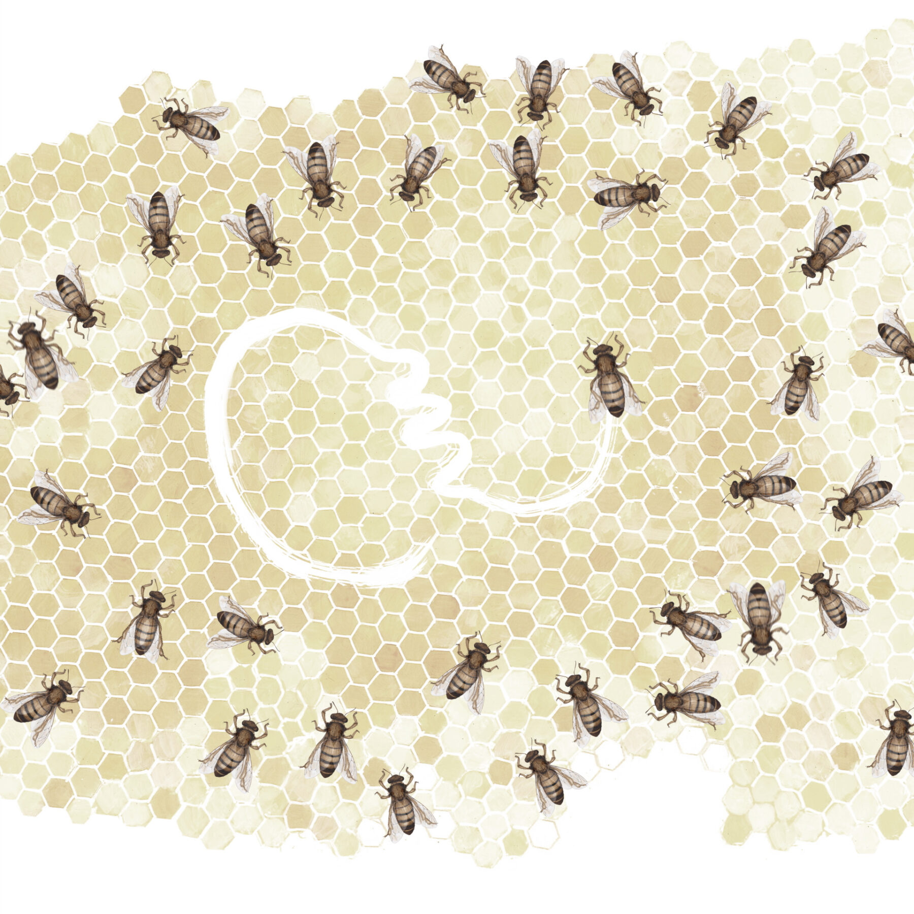 Dance of the Honey Bee – Ellen Litwiller and Chelsea Steinauer-Scudder