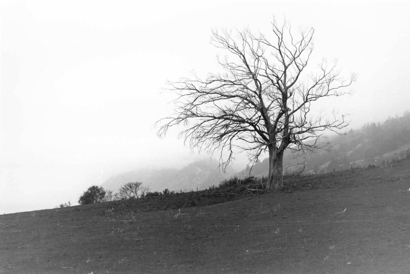 On the Road with Thomas Merton – Emergence Magazine