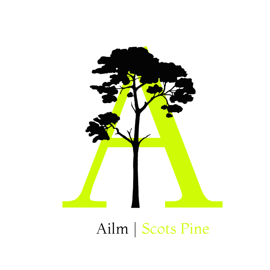 Deciphering Words in the Woods – Katie Holten