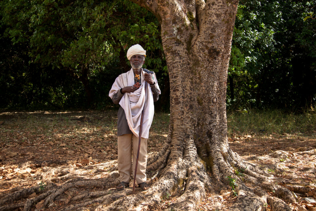 The Church Forests of Ethiopia – Emergence Magazine