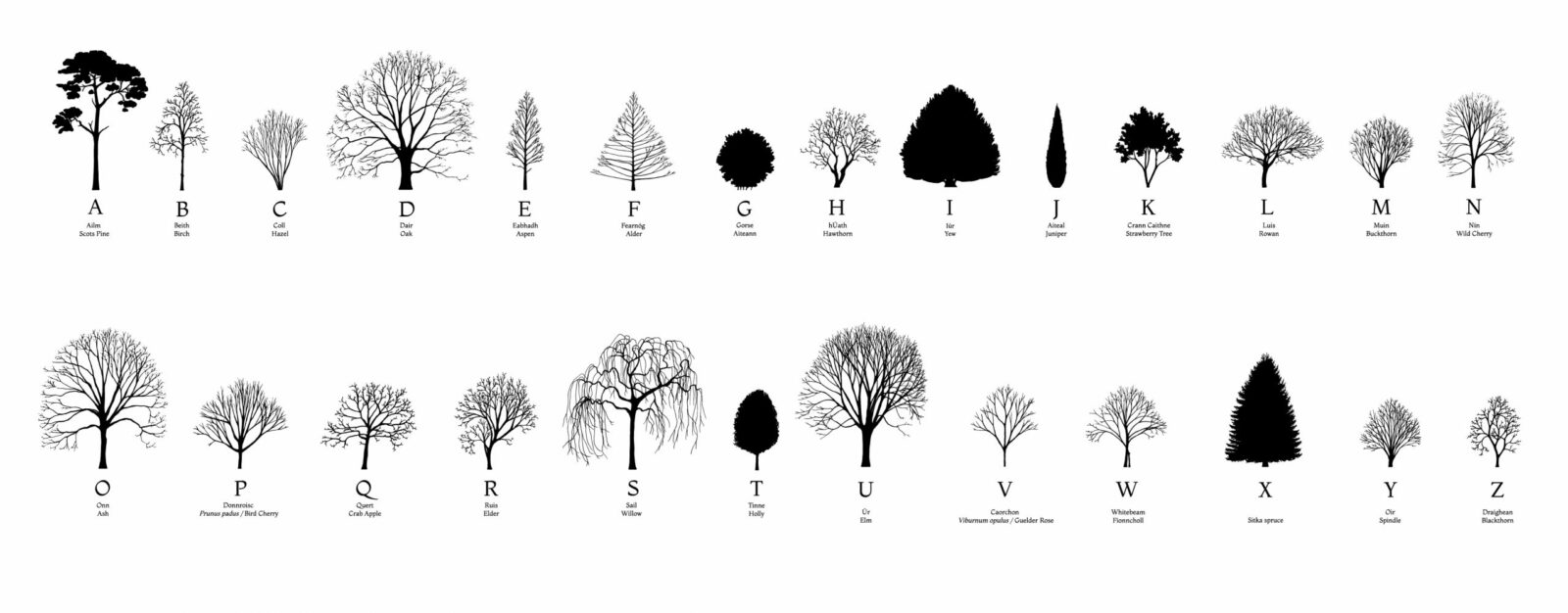 Deciphering Words in the Woods – Katie Holten