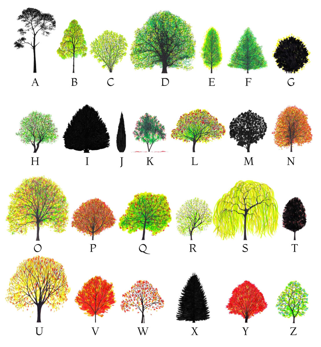 Deciphering Words in the Woods – Katie Holten