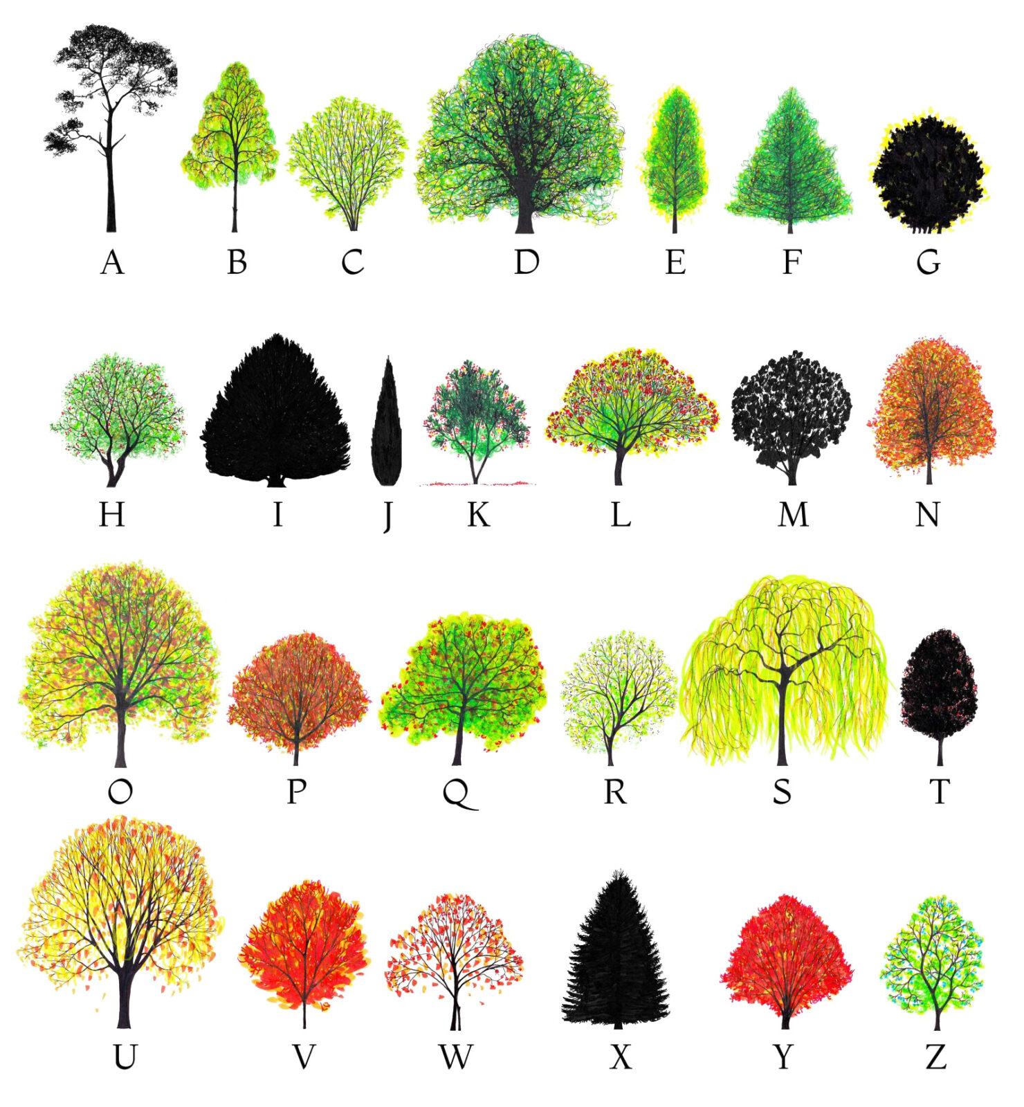 Deciphering Words in the Woods – Katie Holten