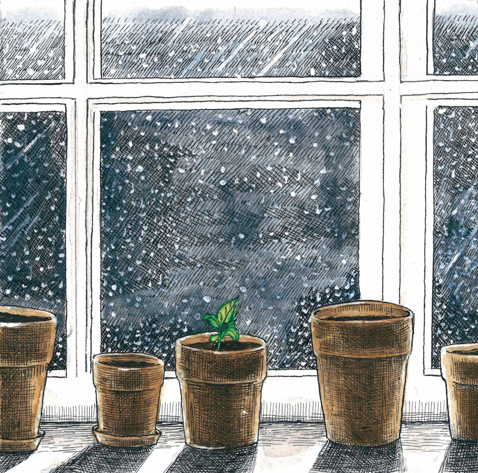 East to Eden – Roger Deakin and Robert Macfarlane