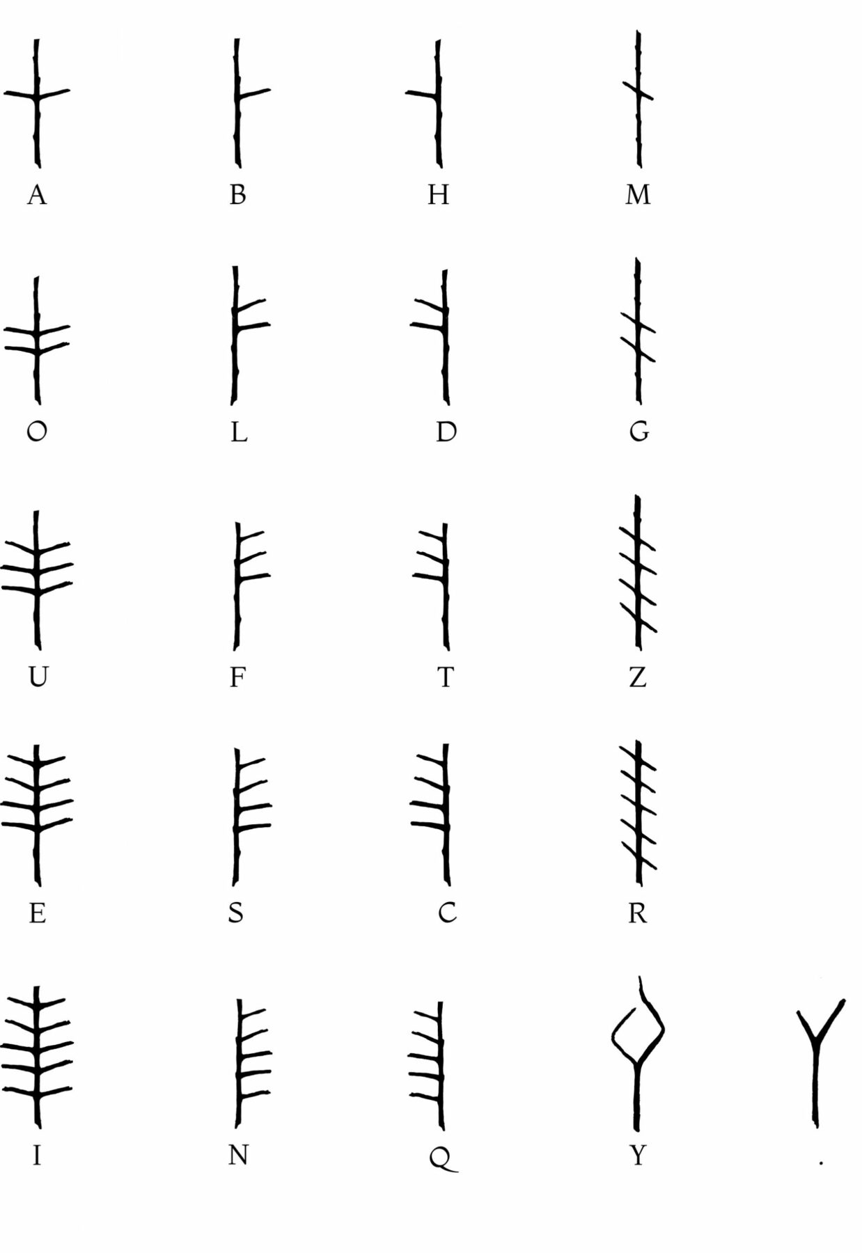 Deciphering Words in the Woods – Katie Holten