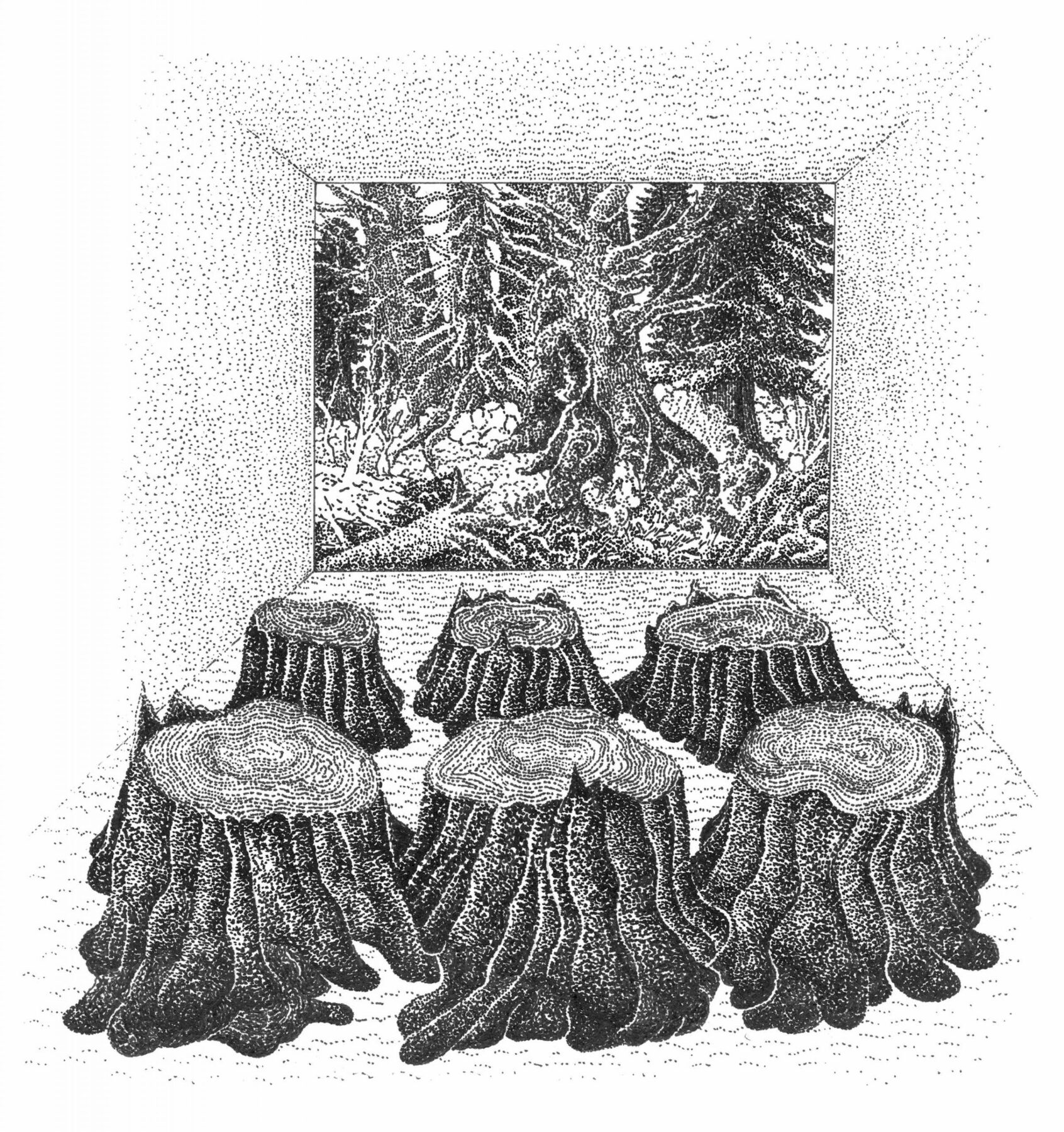 Woods Work – William Bryant Logan