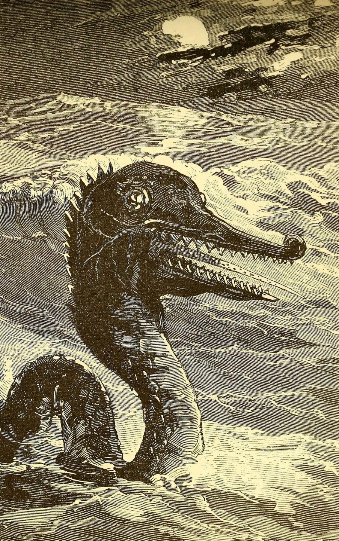 The Great Sea Serpent of Casco Bay – Chelsea Steinauer-Scudder