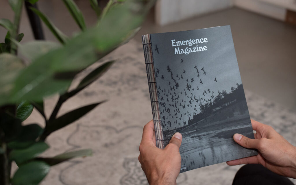 Print – Emergence Magazine
