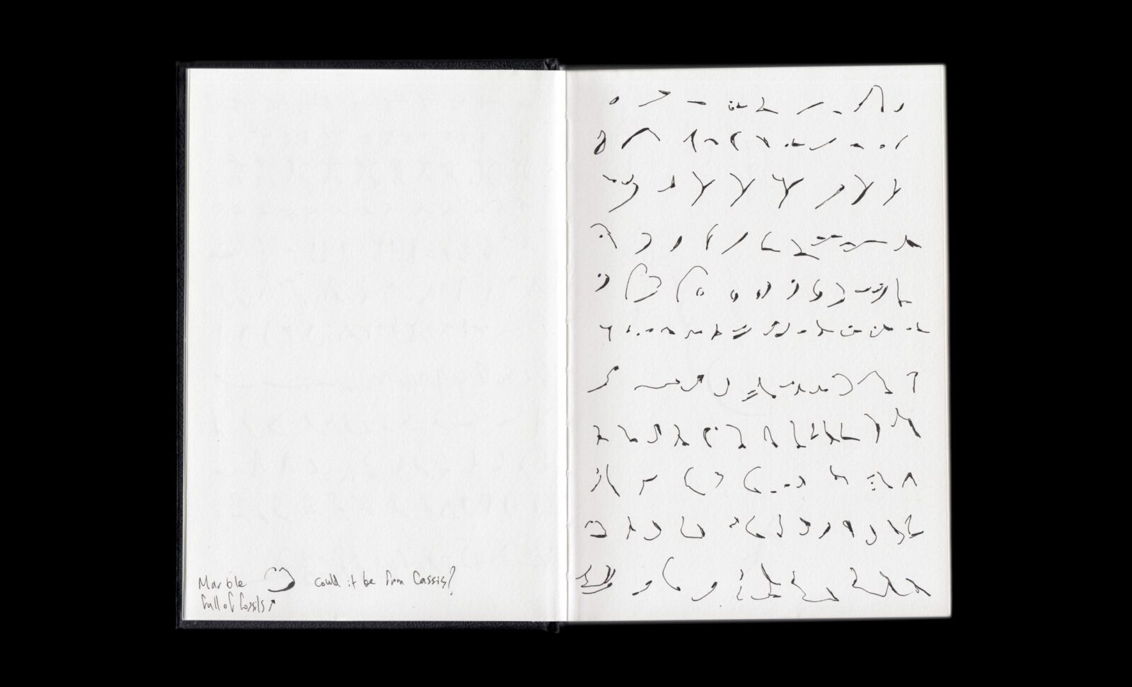 Stone Alphabet – Emergence Magazine