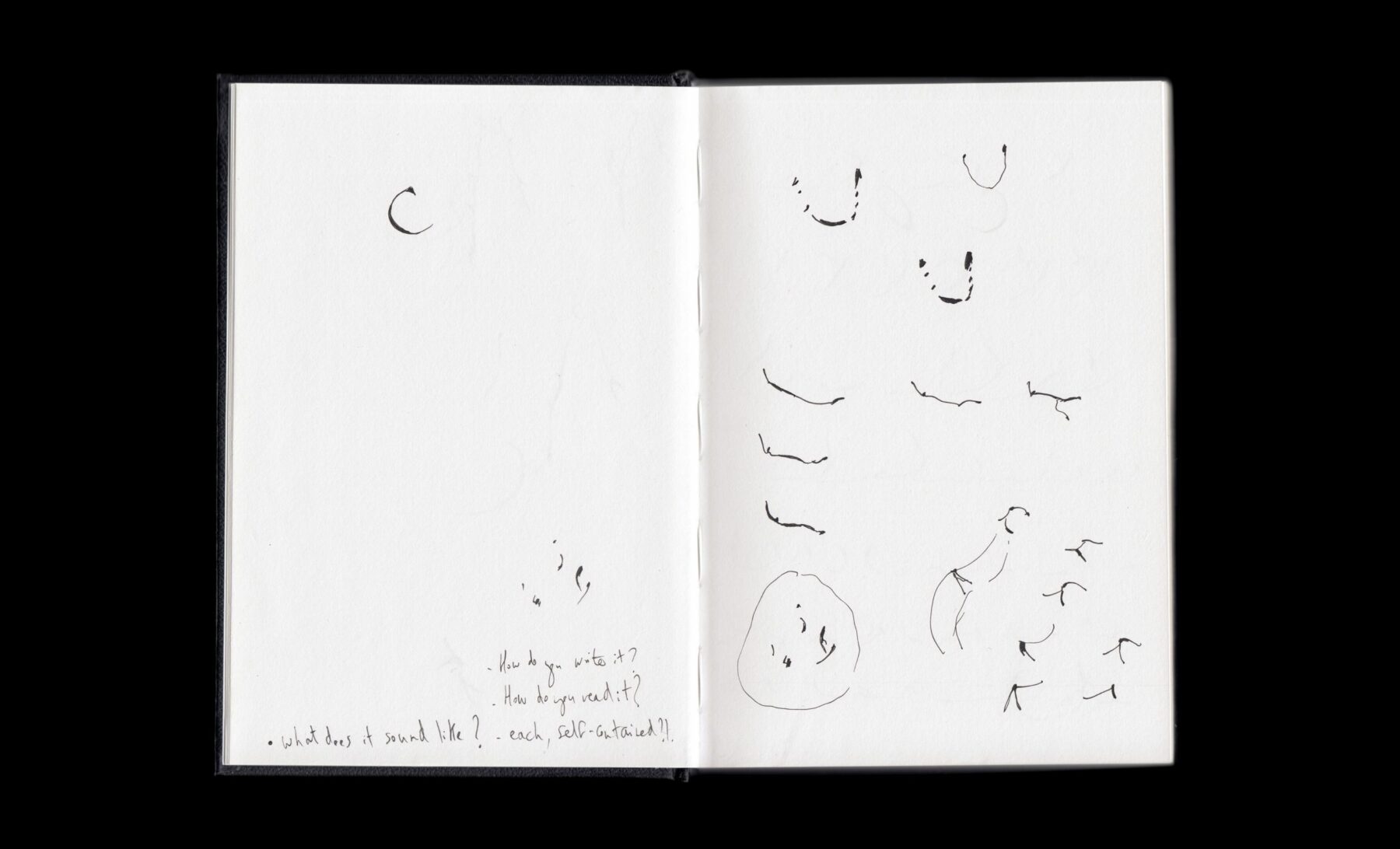 Stone Alphabet – Emergence Magazine