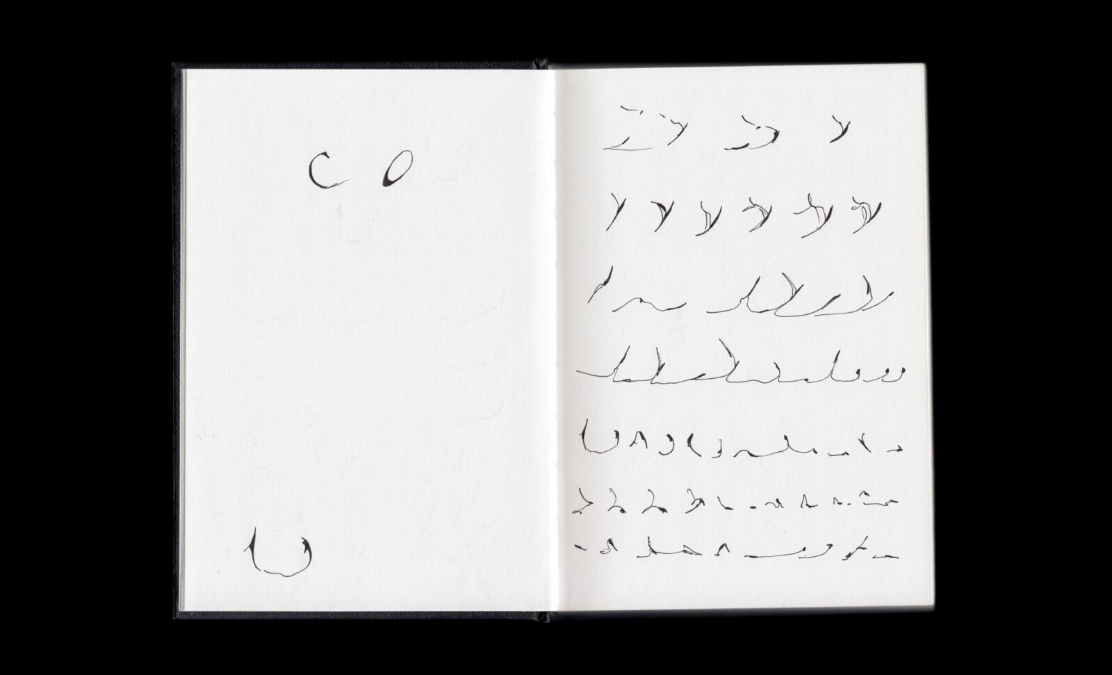 Stone Alphabet – Emergence Magazine