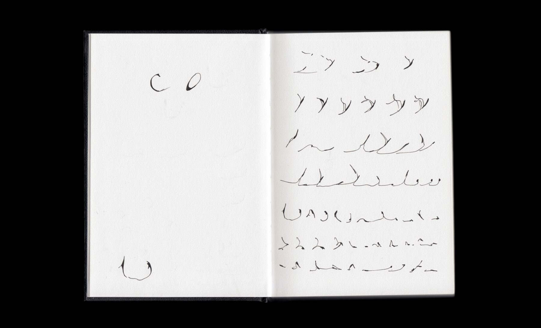 Stone Alphabet – Emergence Magazine