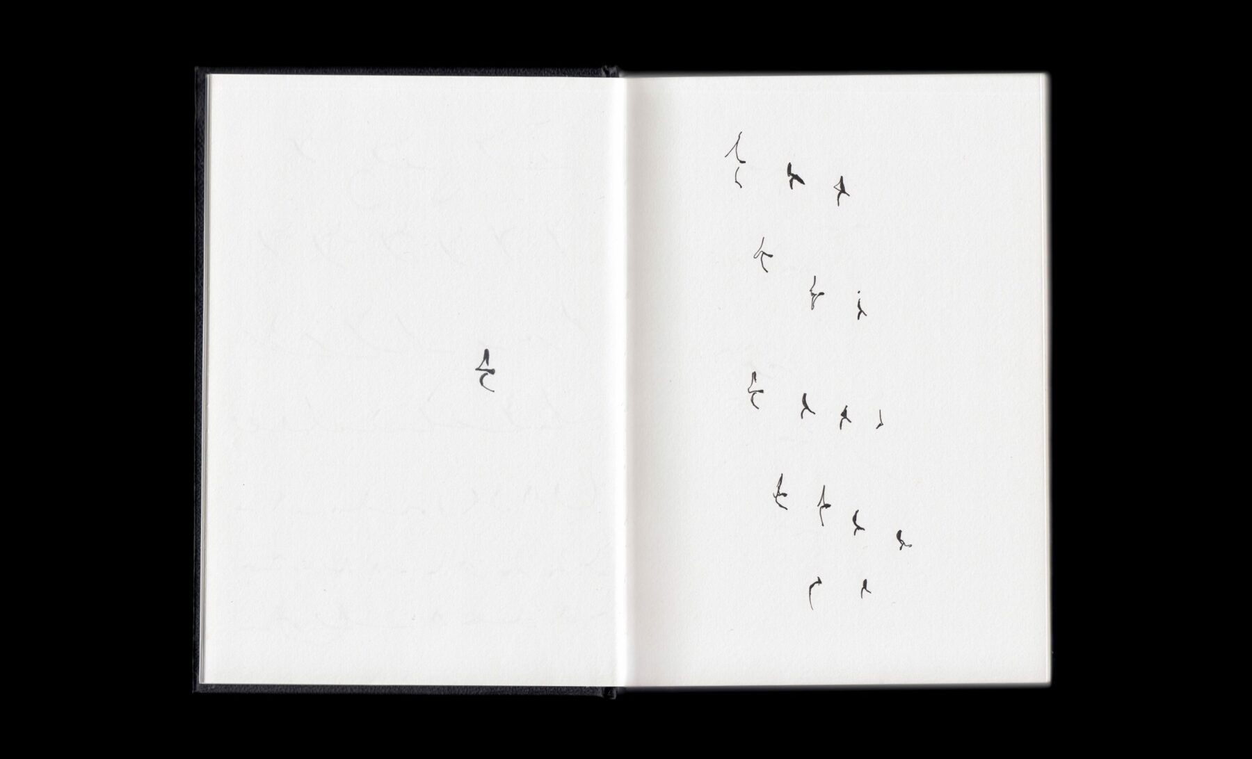 Stone Alphabet – Emergence Magazine