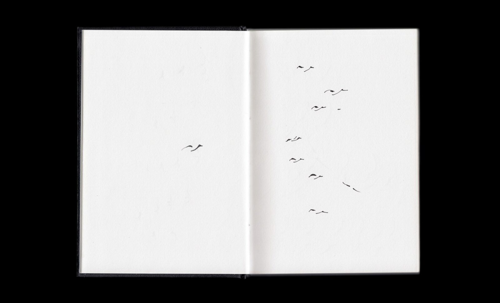Stone Alphabet – Emergence Magazine