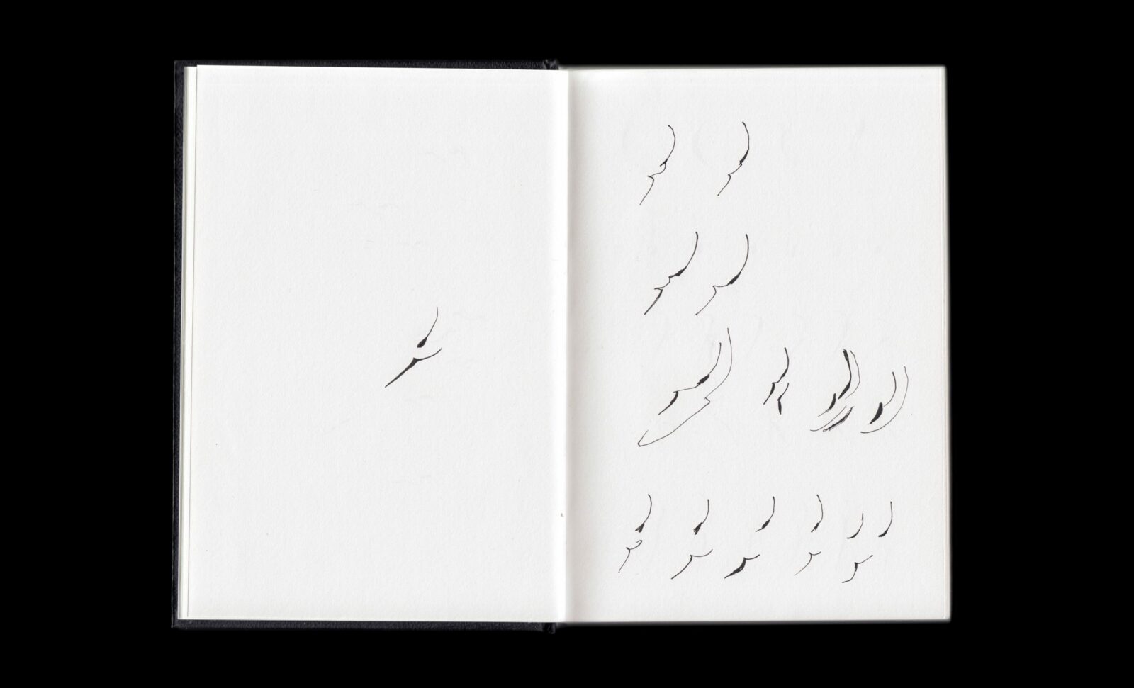 Stone Alphabet – Emergence Magazine