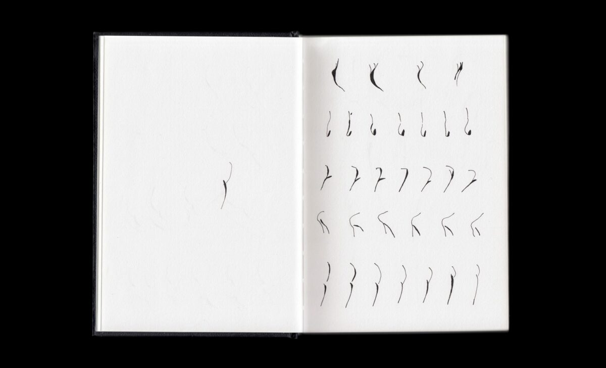 Stone Alphabet – Emergence Magazine