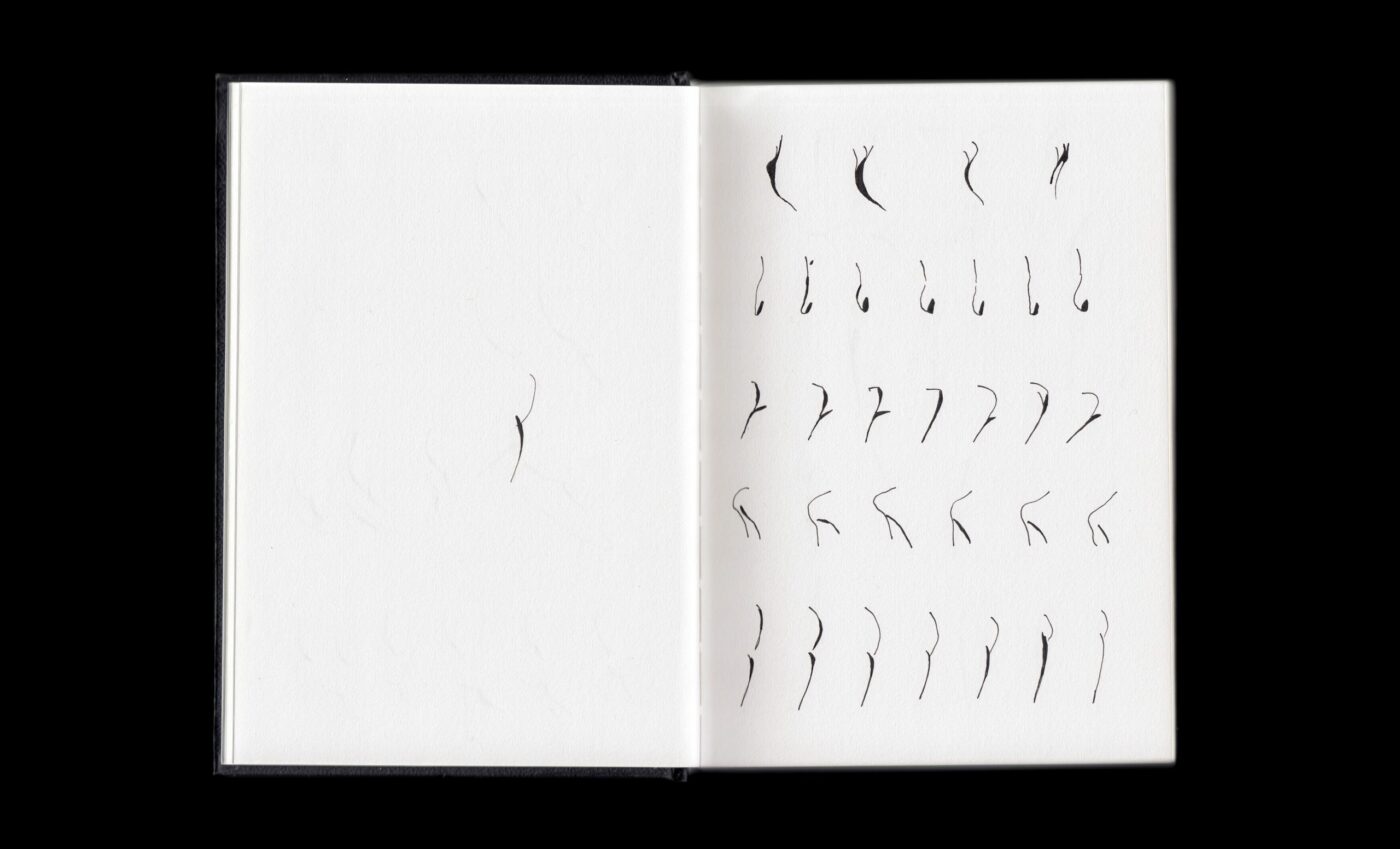 Stone Alphabet – Emergence Magazine