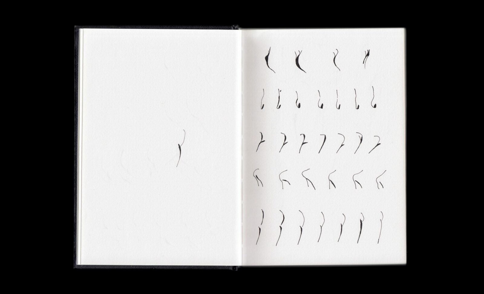 Stone Alphabet – Emergence Magazine