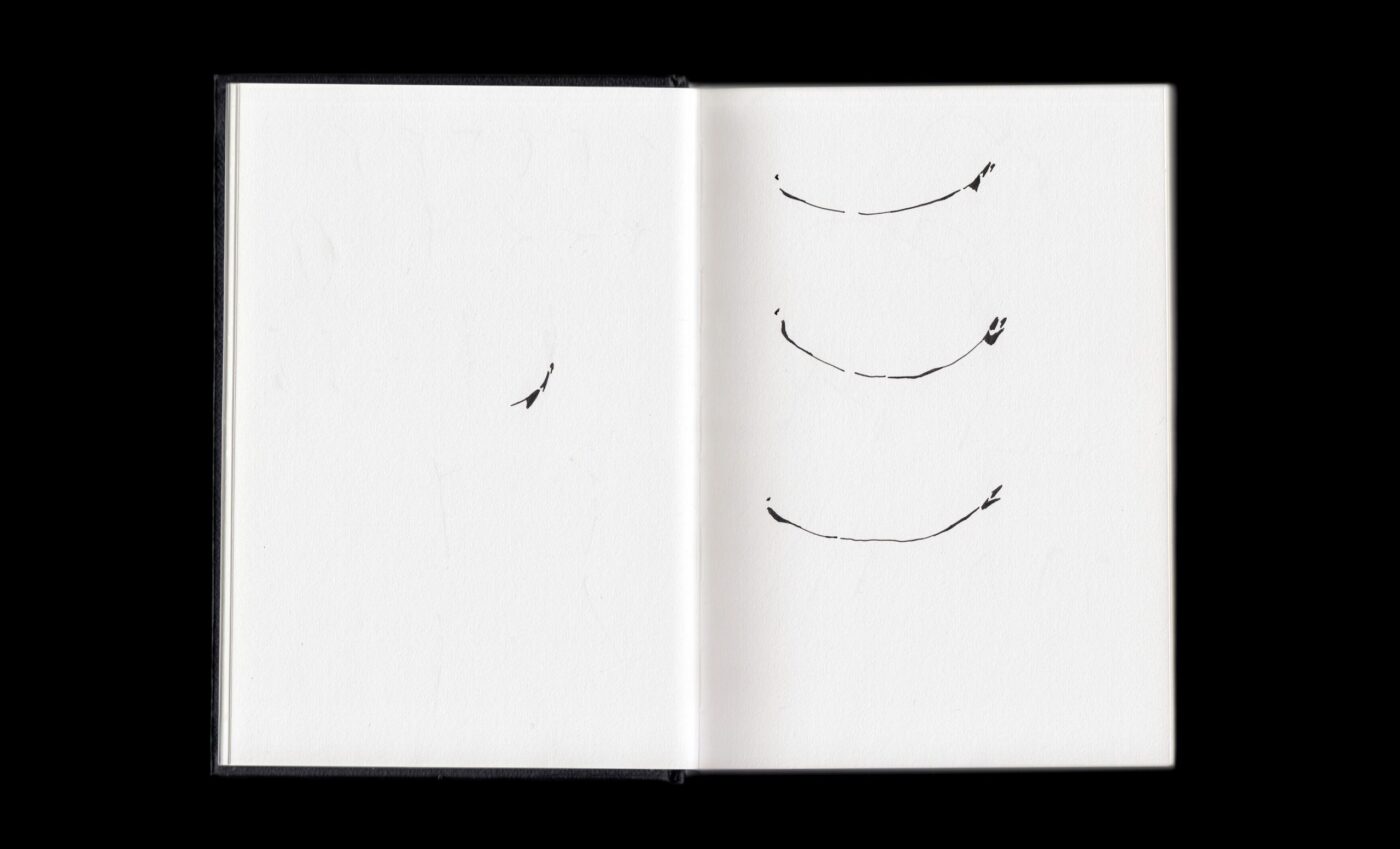 Stone Alphabet – Emergence Magazine