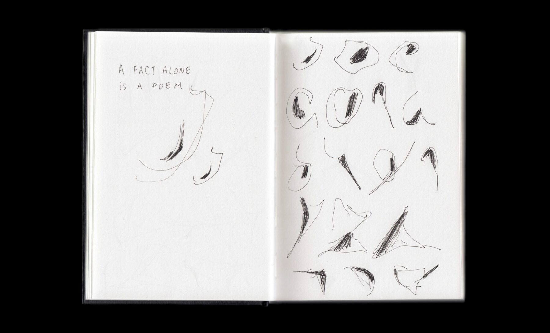 Stone Alphabet – Emergence Magazine