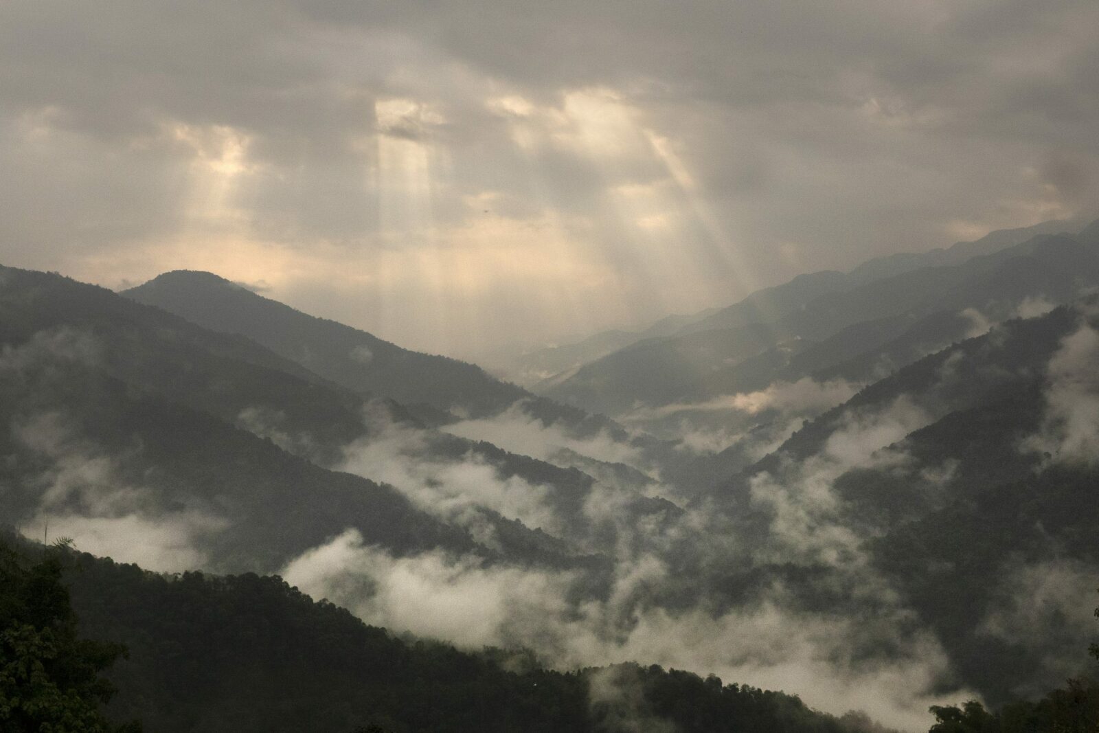 River at the Heart of the World – Arati Kumar-Rao