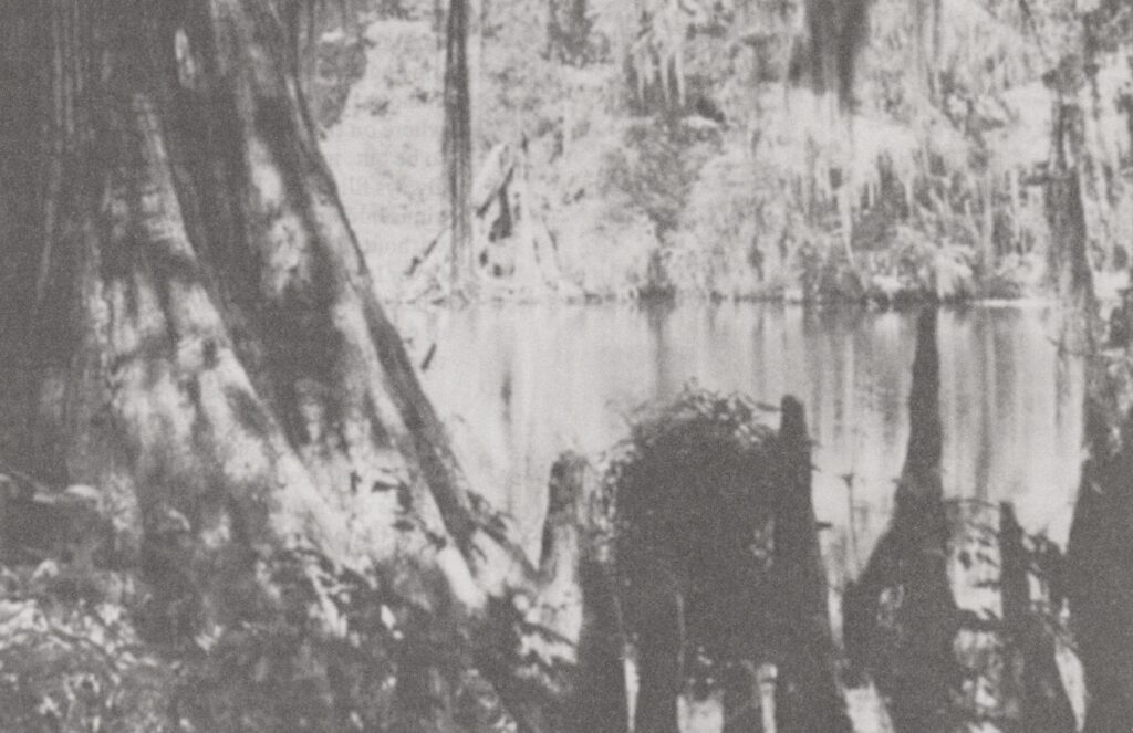 Emergence Magazine Podcast