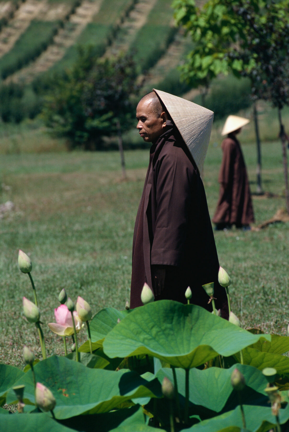 Ten Love Letters to the Earth – Thich Nhat Hanh