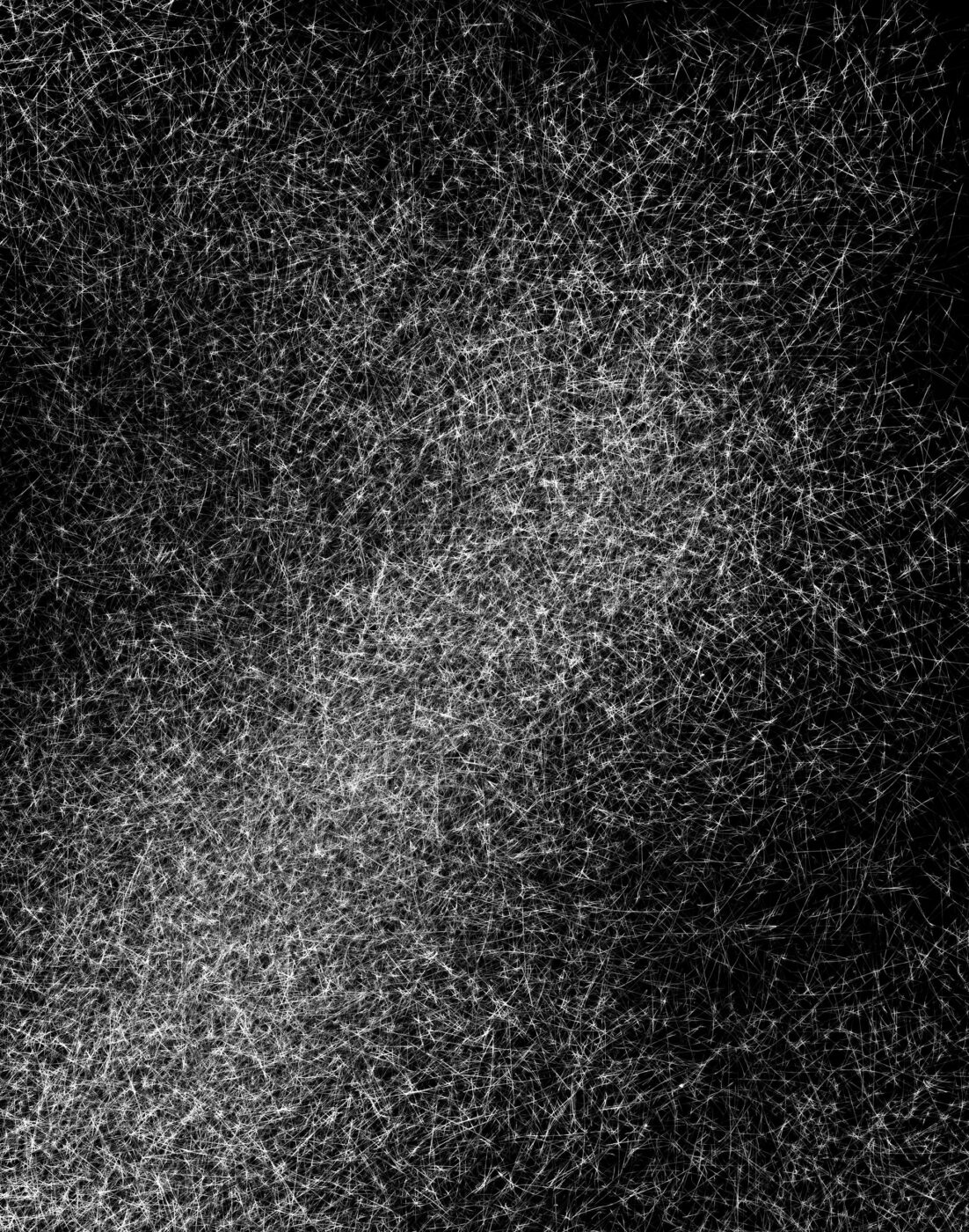 Noiseless Messengers – Rebecca Giggs